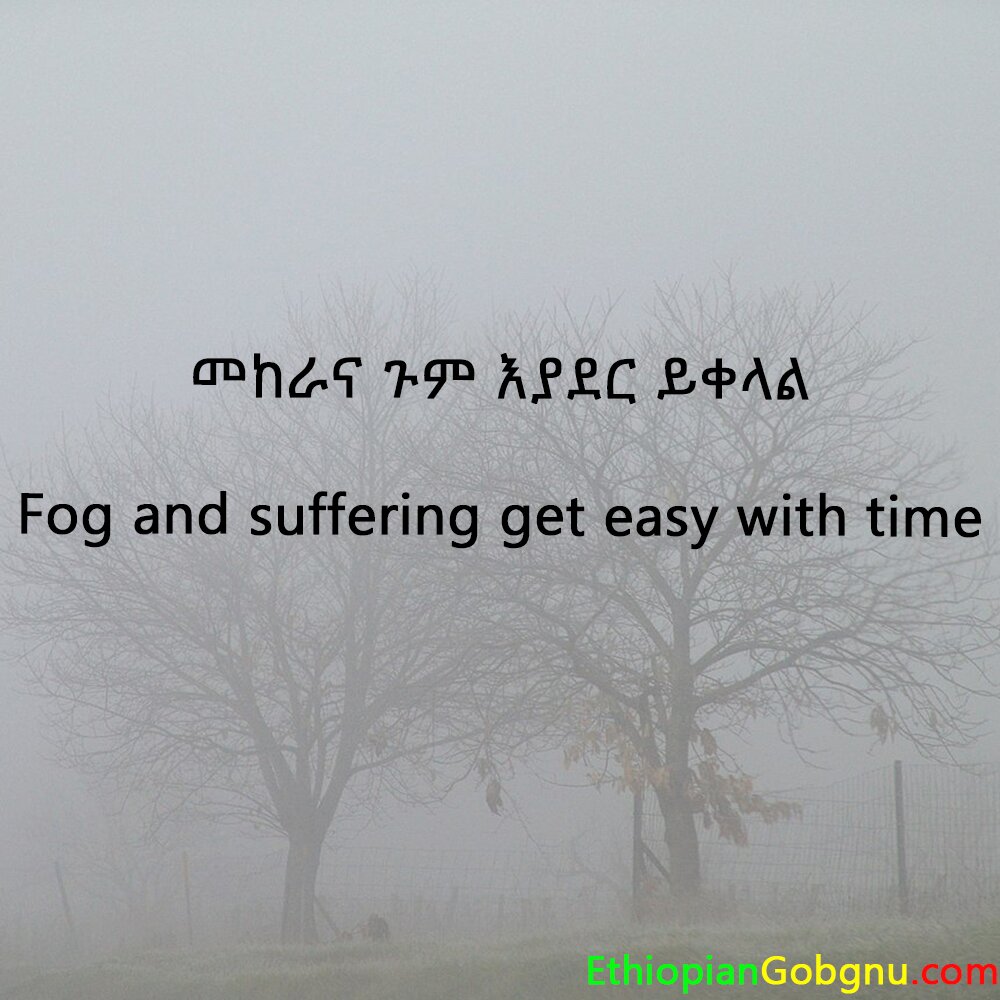 African Proverbs: Some of the Best Ethiopian Quotes